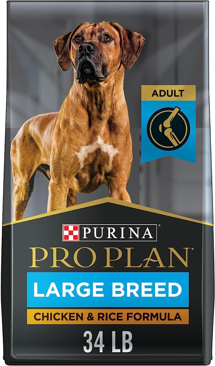 The Ultimate Guide to Choosing the Best Dog Foods for Irish Setters ...